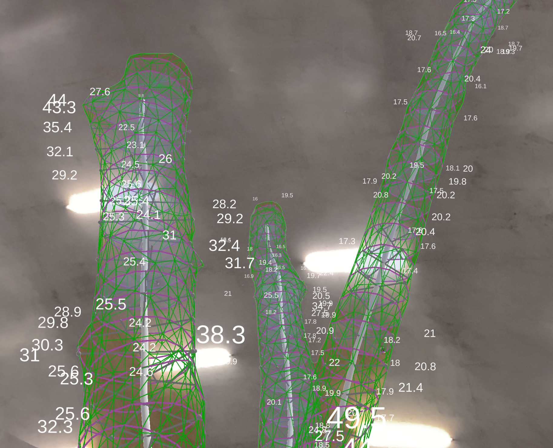 RUBI LAB | Research | AAP Labs