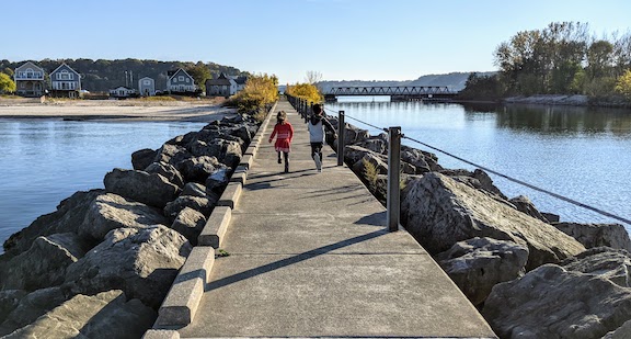 Adaptive Land Lab | Projects | AAP Labs